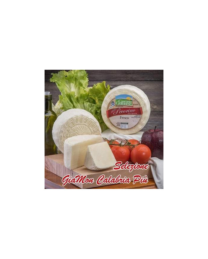 pecorino Crotonese|Vendita online formaggi